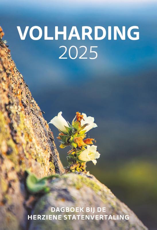 Dagboek: Volharding 2025 - Het Gouden Lint